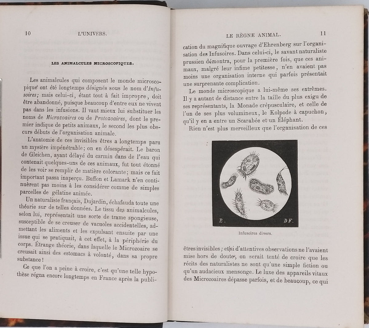 POUCHET Felix Archimède " L'Univers - Les infiniment grands et les inf ...